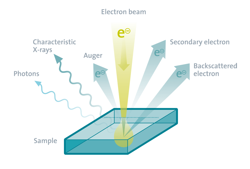RISE – Microscopios Raman-SEM - WITec Raman Imaging - Oxford Instruments